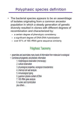 Bacterial Taxonomy Pdf