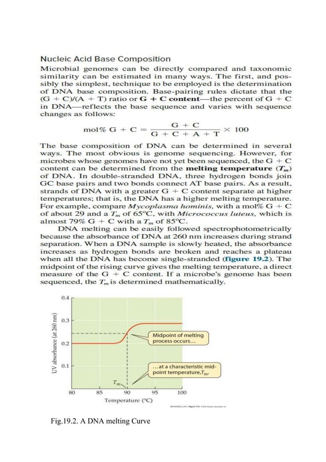 Bacterial Taxonomy Pdf