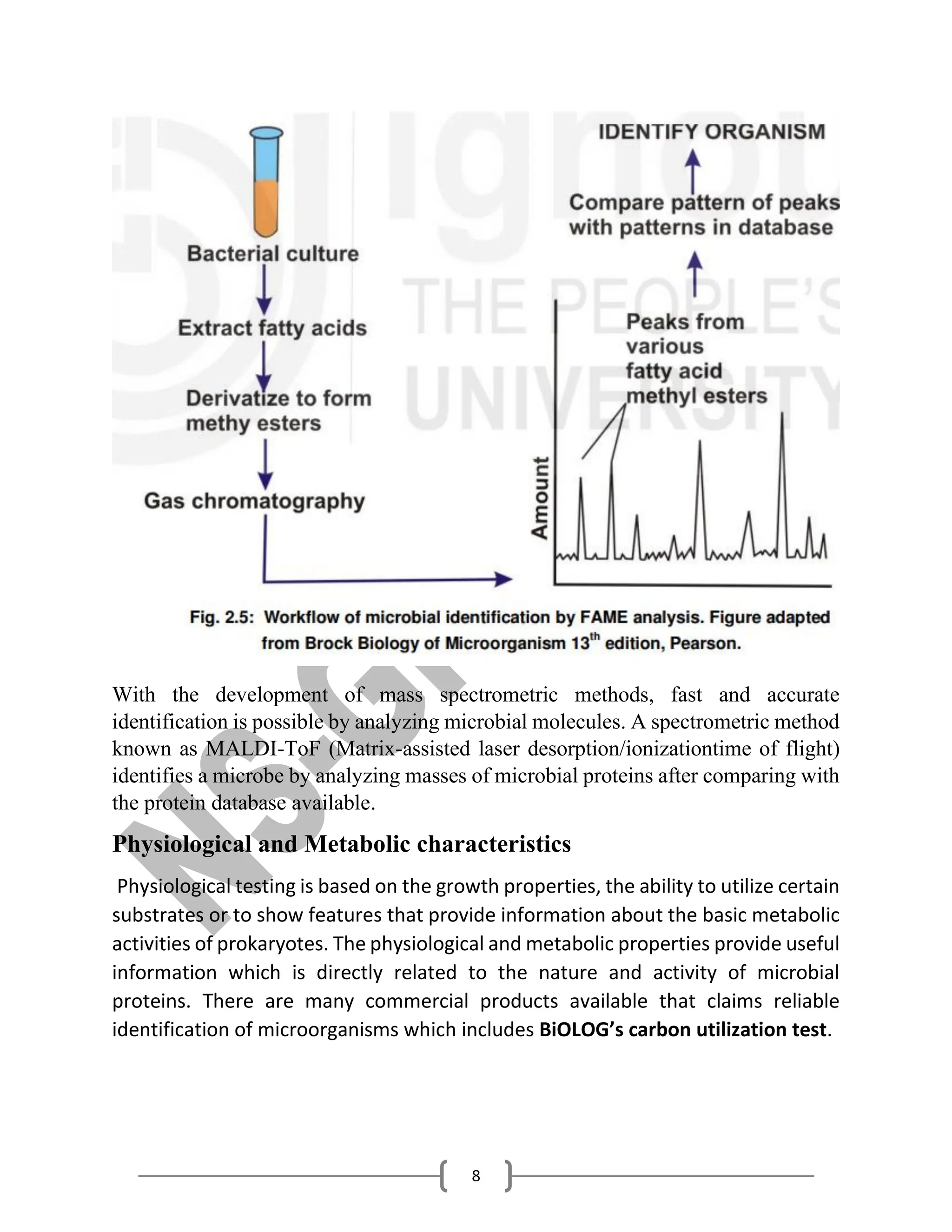Bacterial Taxonomy for B.Sc. 1st year students | PDF