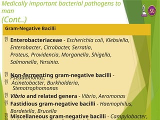 classification of bacteria bacterial taxonomy.pptx