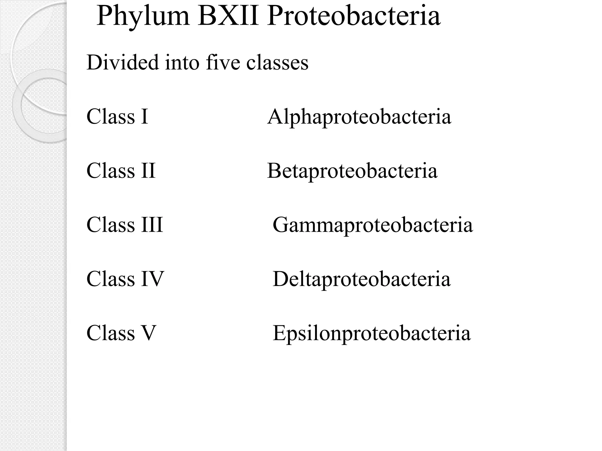 Bacterial taxonomy b sc mlt | PPTX