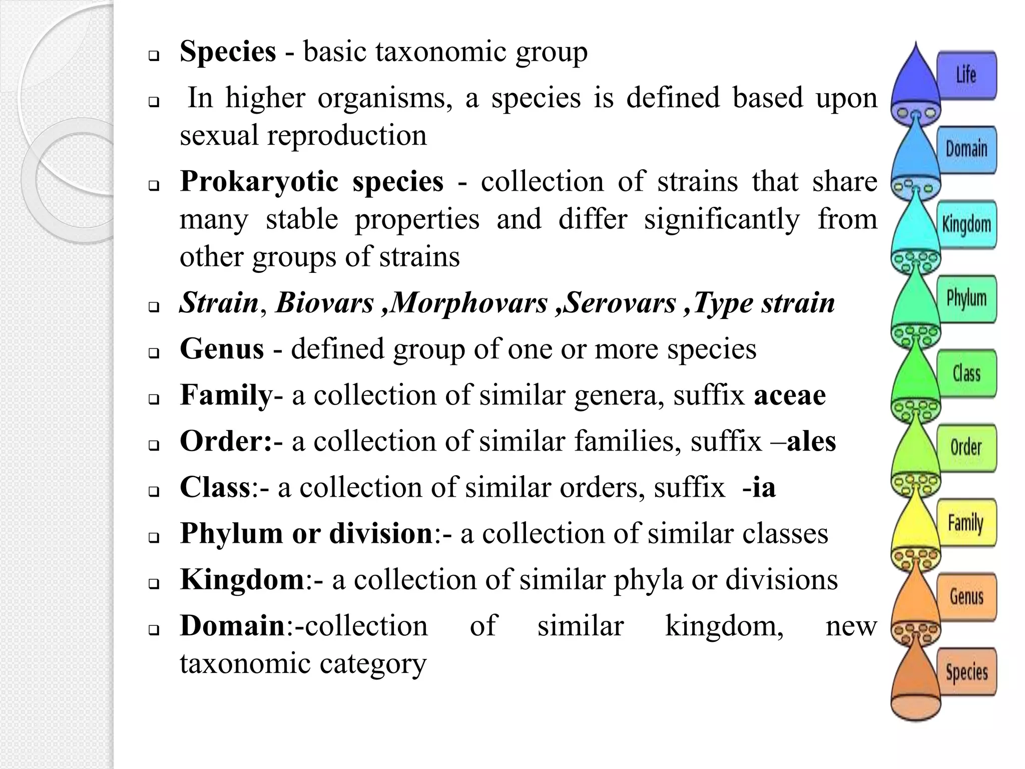 Bacterial taxonomy b sc mlt | PPTX