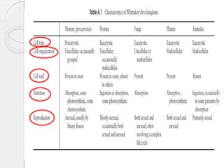 Bacterial taxonomy b sc mlt | PPTX