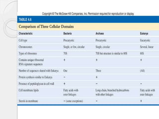 Bacterial taxonomy b sc mlt | PPTX