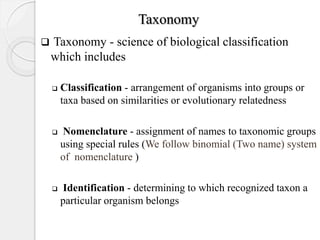 Bacterial taxonomy b sc mlt | PPTX