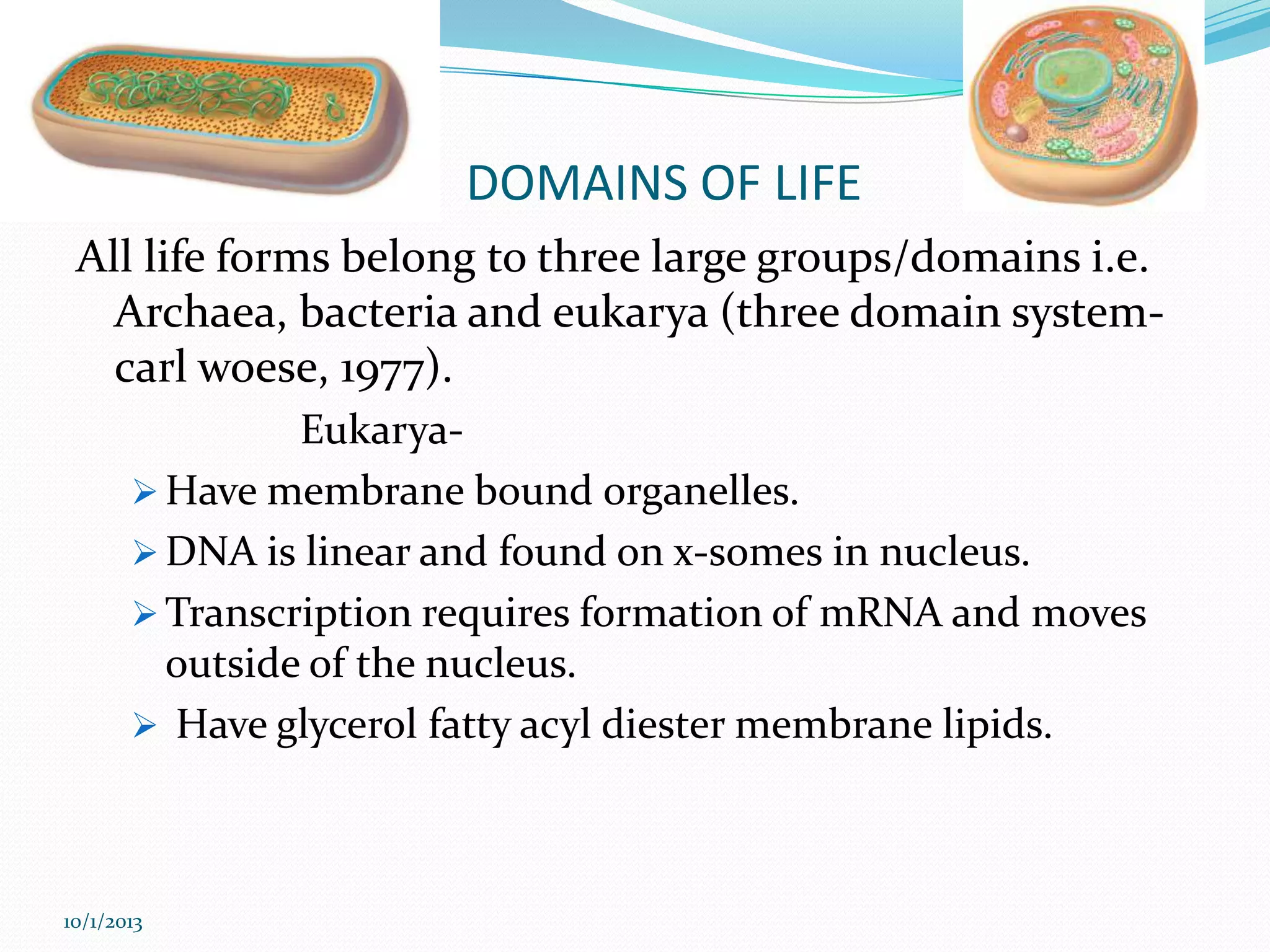 Bacterial taxonomy, pixel copy (2) | PPTX