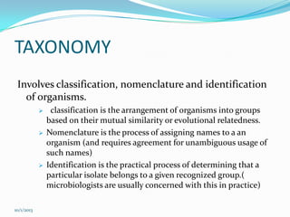 Bacterial taxonomy, pixel copy (2) | PPTX | Biological Sciences | Science
