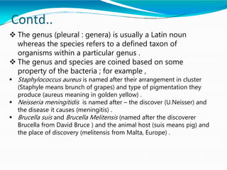 Bacterialtaxonomypixel copy2-131001071958-phpapp01 (1) | PPTX