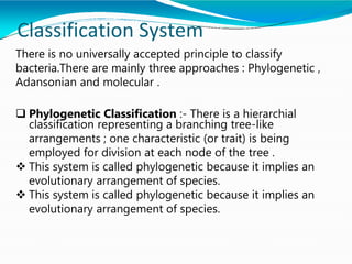 Bacterialtaxonomypixel copy2-131001071958-phpapp01 (1) | PPTX