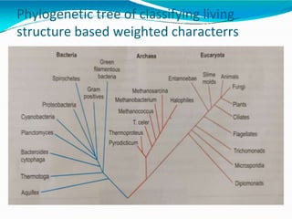 Bacterialtaxonomypixel copy2-131001071958-phpapp01 (1) | PPTX