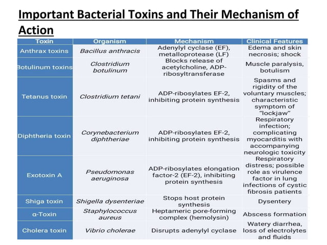 Bacterial toxins | PPTX | Chemistry | Science