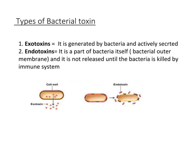 Bacterial toxins | PPTX | Chemistry | Science