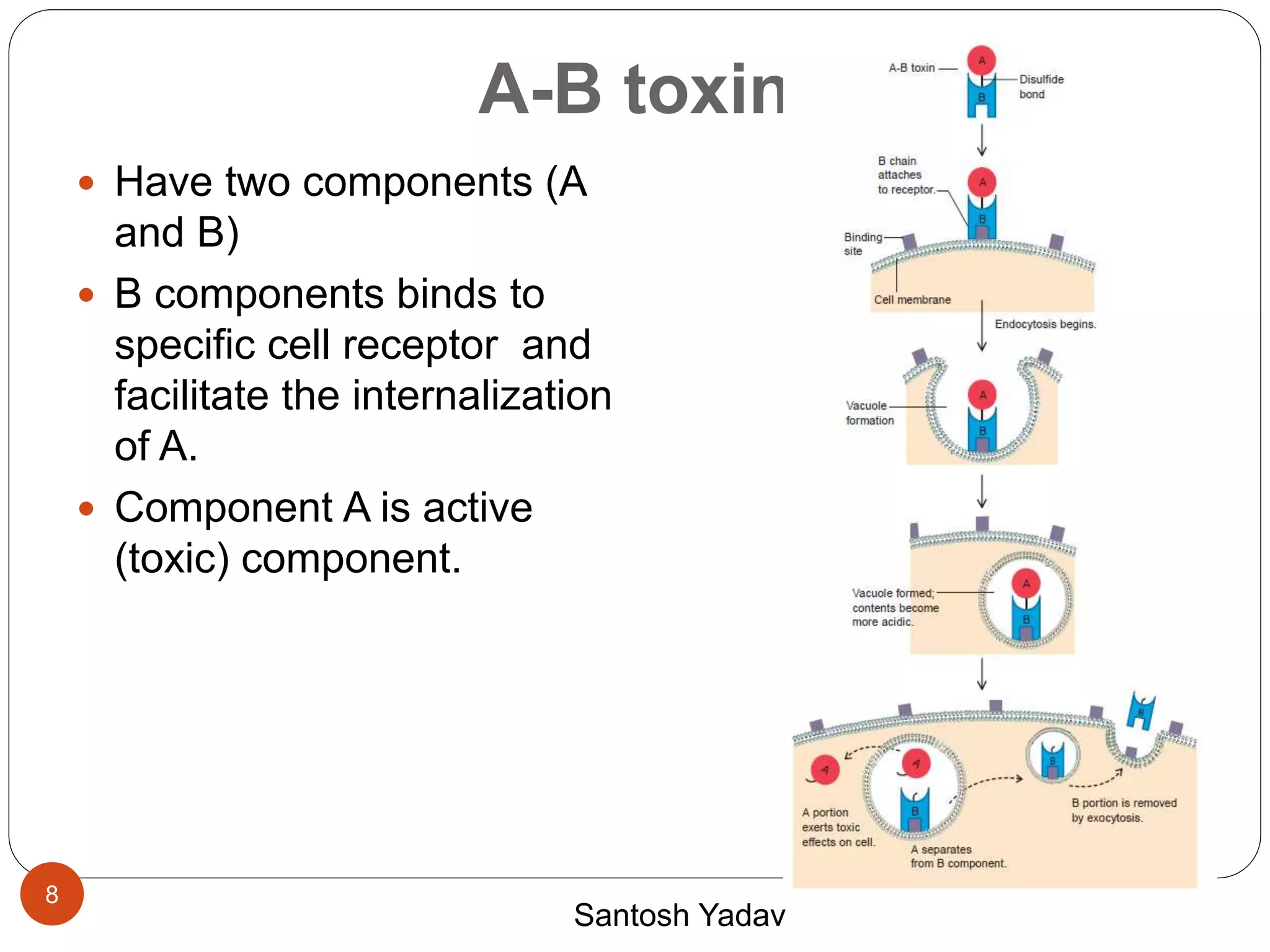 Bacterial toxin and bacteriocin | PPTX