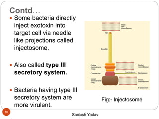 Bacterial toxin and bacteriocin | PPTX