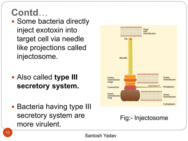 Bacterial toxin and bacteriocin | PPTX | Genetics | Science