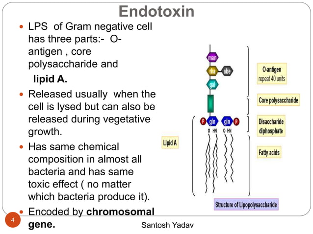 Bacterial Toxin And Bacteriocin Pptx Genetics Science