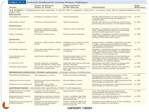 Bacterial Toxin And Bacteriocin Pptx Genetics Science
