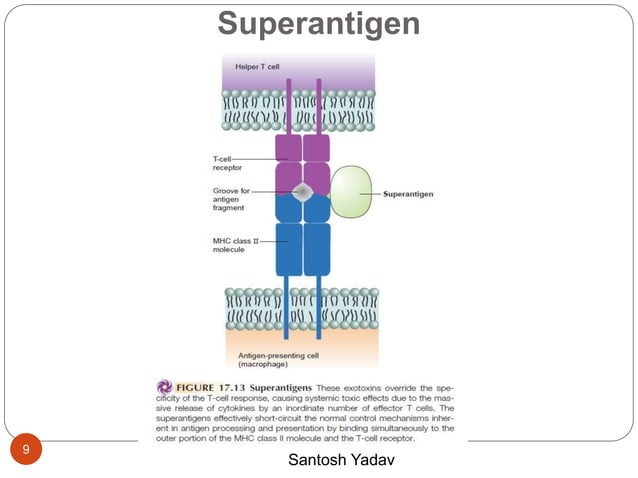 Bacterial Toxin And Bacteriocin Pptx Genetics Science