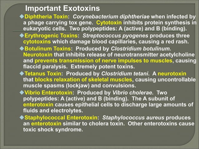 Bacterial Toxins.ppt | Infectious Diseases | Diseases and Conditions