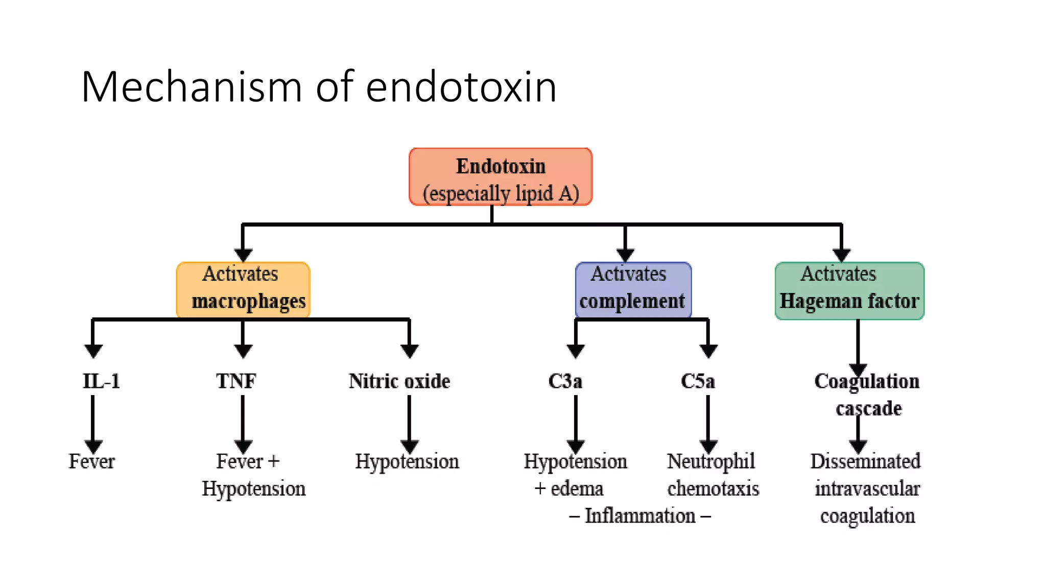 Bacterial toxins | PPTX