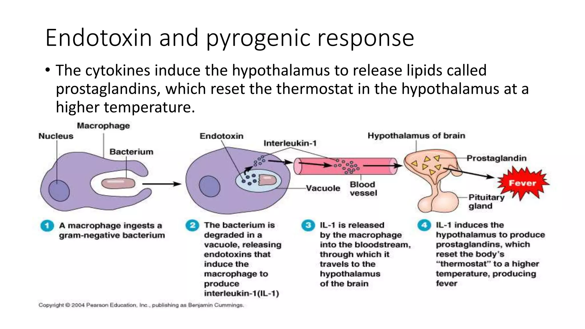 Bacterial toxins | PPTX