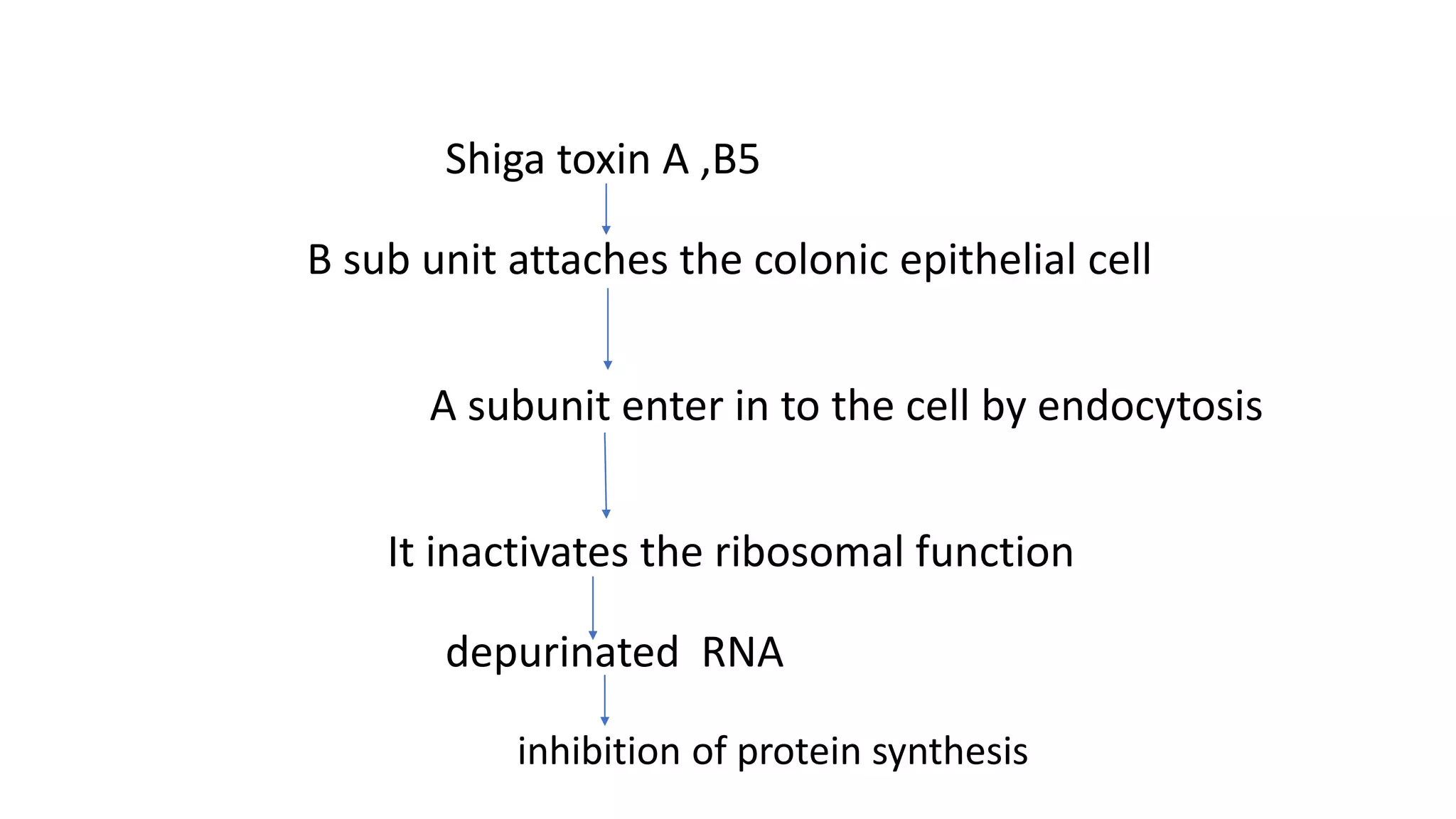 Bacterial toxins | PPTX