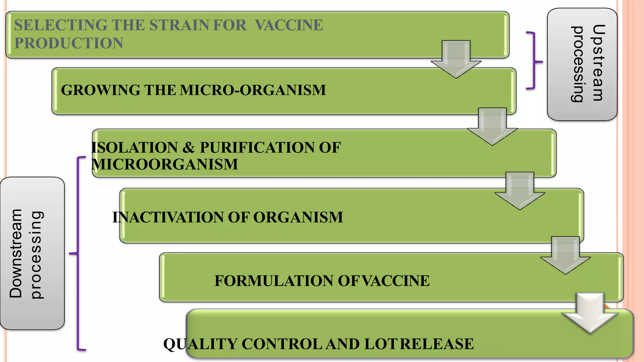 Bacterial toxoids | PPTX