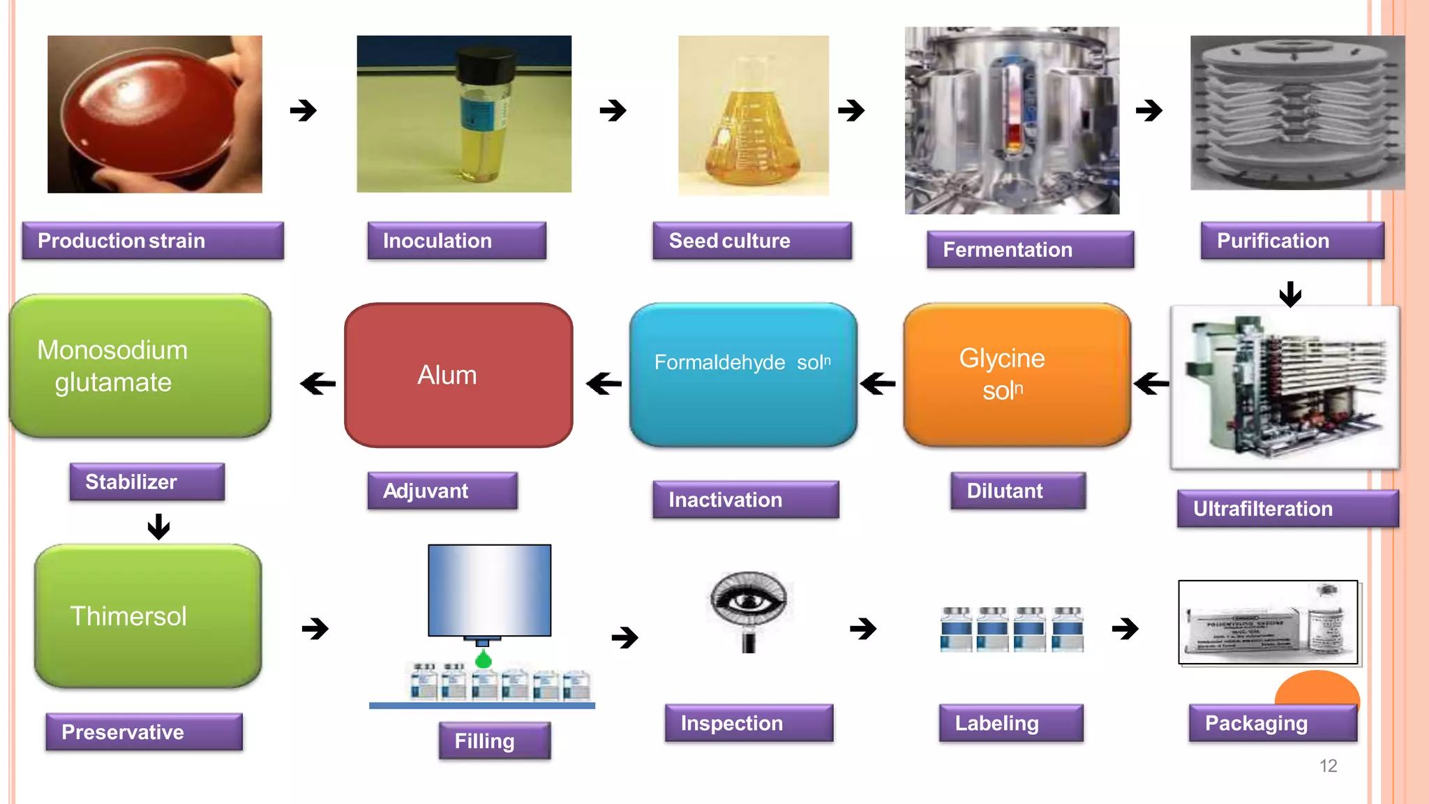 Bacterial toxoids | PPTX