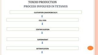 Bacterial toxoids | PPTX