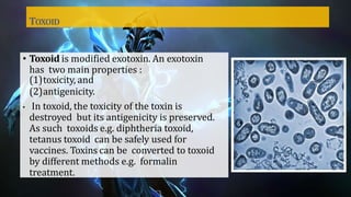 Bacterial toxoids | PPTX