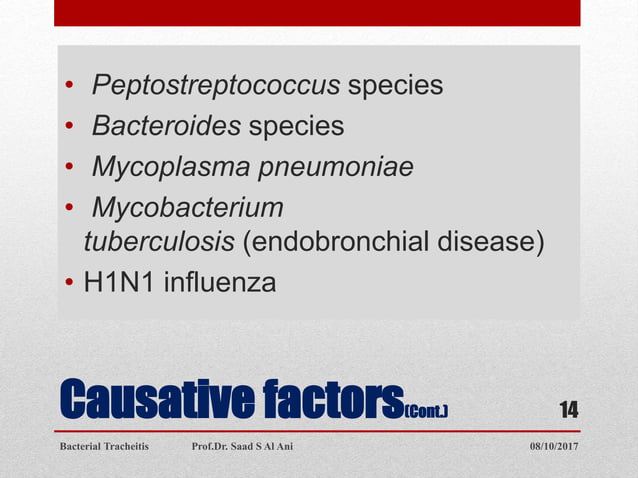 Bacterial tracheitis | PPTX | Ear, Nose and Throat Conditions ...