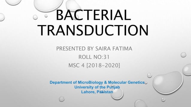 Bacterial transduction | PPTX | Biological Sciences | Science
