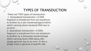 Bacterial transduction | PPTX