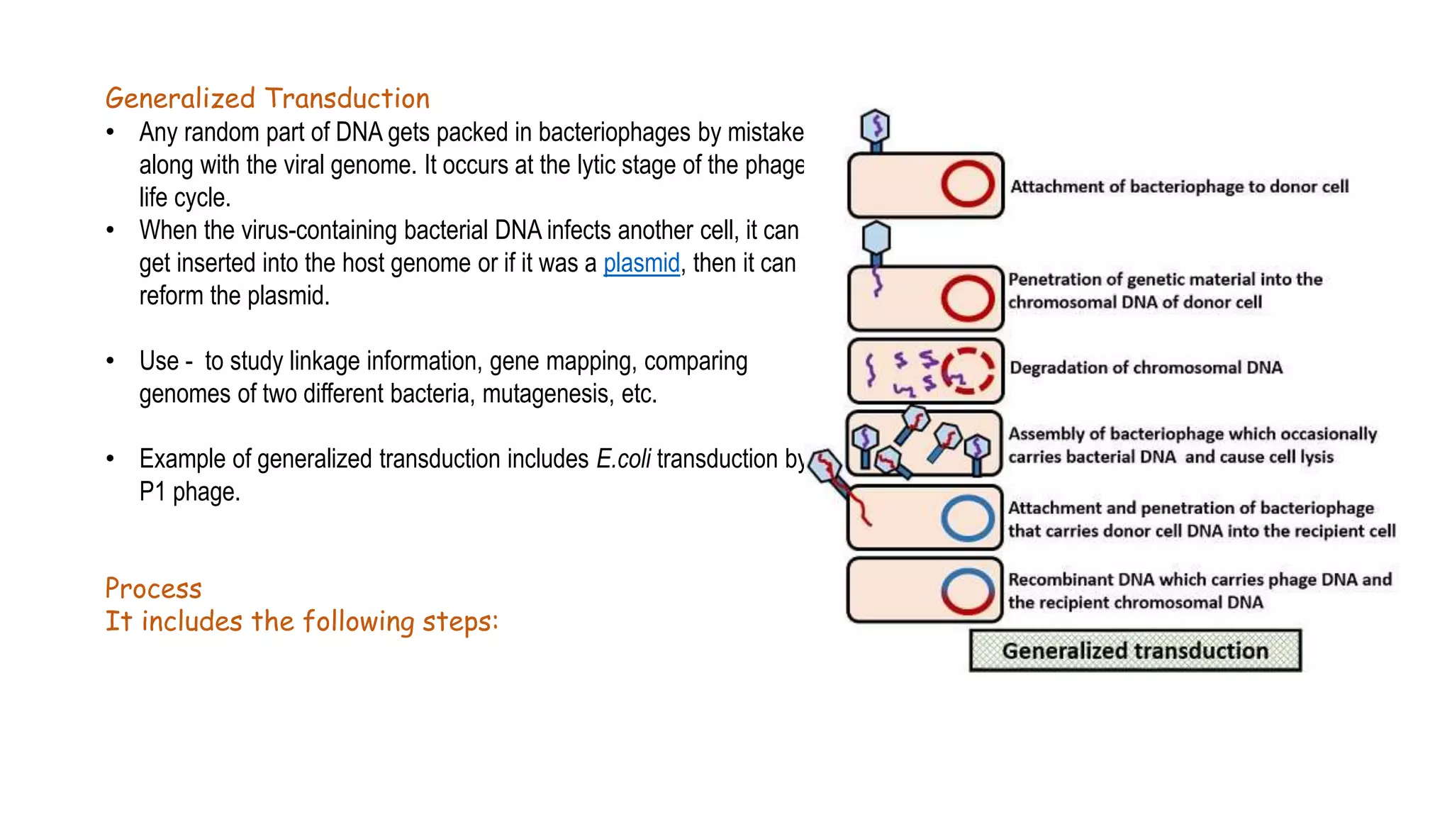 Bacterial transduction (Bacterial genetic recombination) | PPTX
