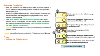 Bacterial transduction (Bacterial genetic recombination) | PPT
