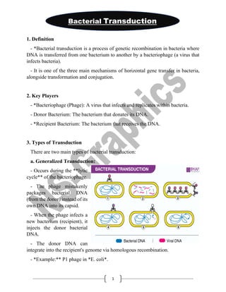 Bacterial Transduction for B.Sc. SEM-3 Students | PDF