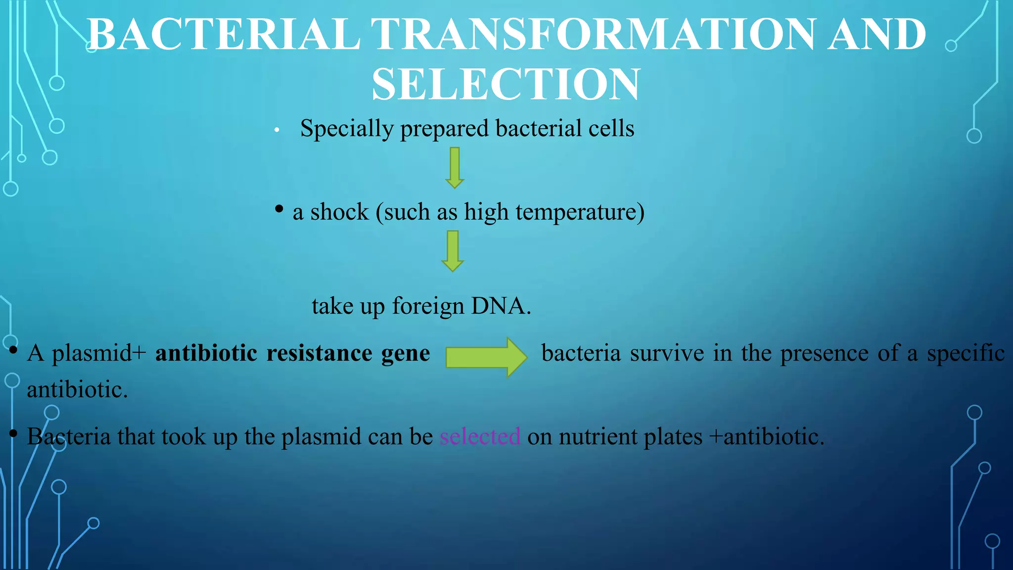 Bacterial transformation | PPTX