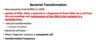 Bacterial Transformation.pdf