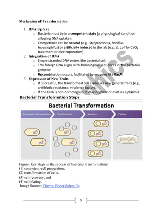 Bacterial Transformation for SEM-3 Botany/Biotechnology Students | PDF