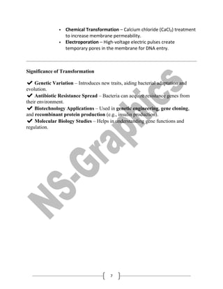 Bacterial Transformation for SEM-3 Botany & Biotechnology Students | PDF