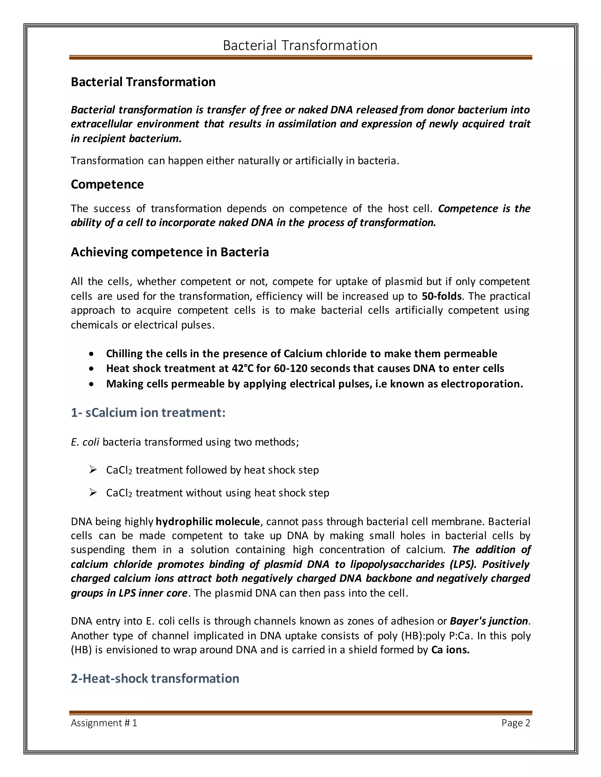 Bacterial Transformation 1.docx