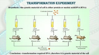 BACTERIAL TRANSFORMATION Msc. Botany by Raanu.pptx