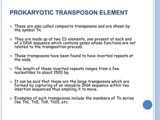 Bacterial transposable elements | PPTX