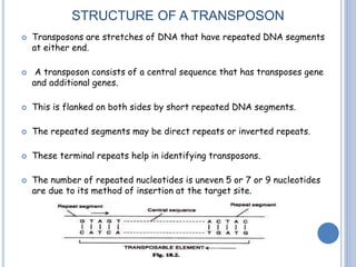 Bacterial transposable elements | PPTX