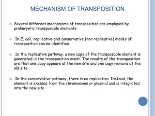 Bacterial transposable elements | PPTX