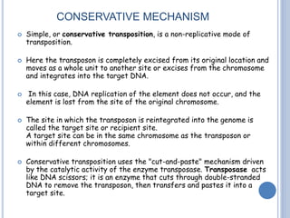 Bacterial transposable elements | PPTX