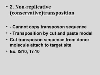 Bacterial transposons | PPT