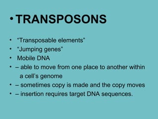 Bacterial transposons | PPT