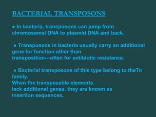 Bacterial transposons | PPT