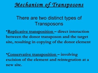 Bacterial transposons | PPT